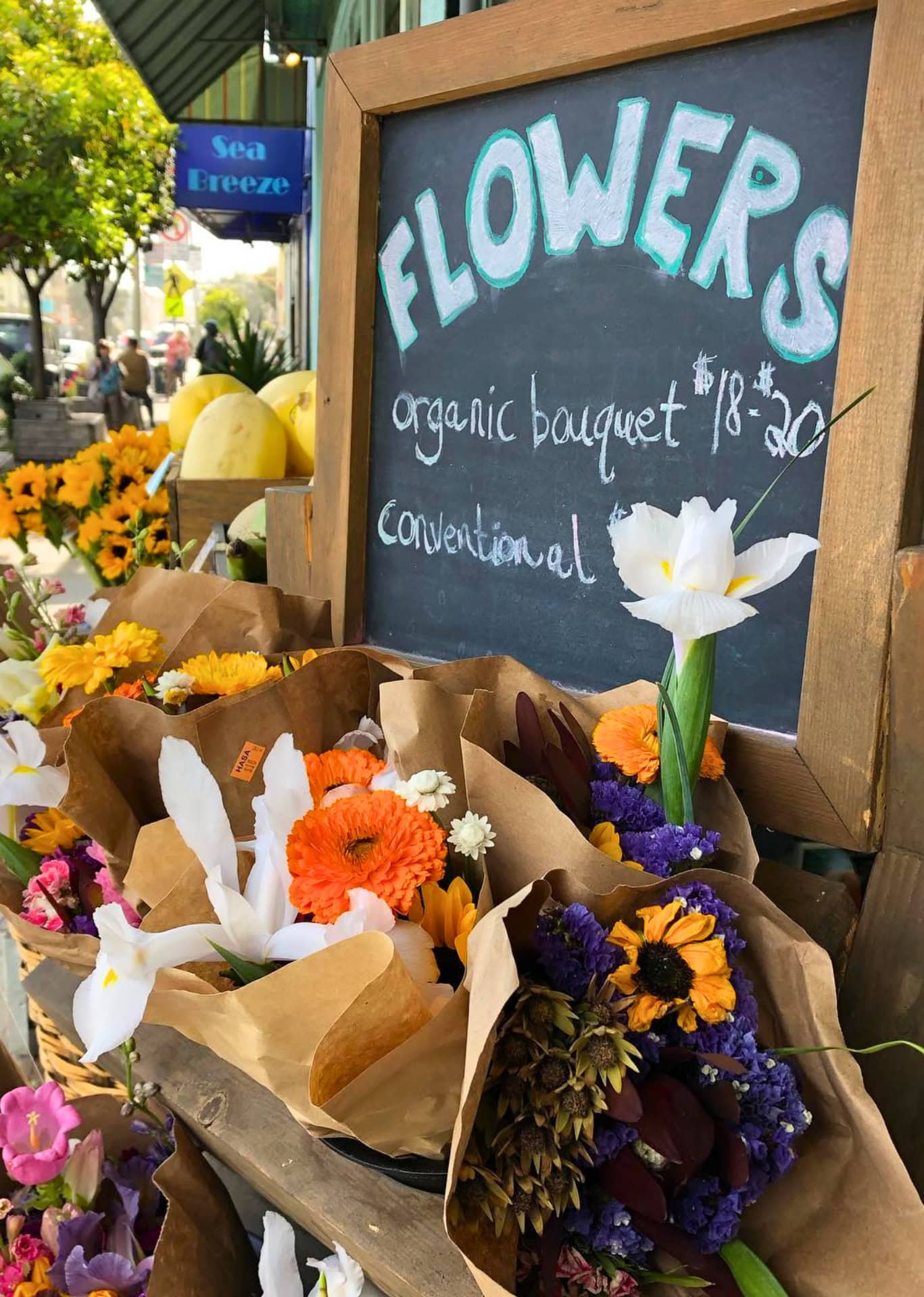 13 Best Zero Waste Stores in San Francisco For Bay Area Bulk