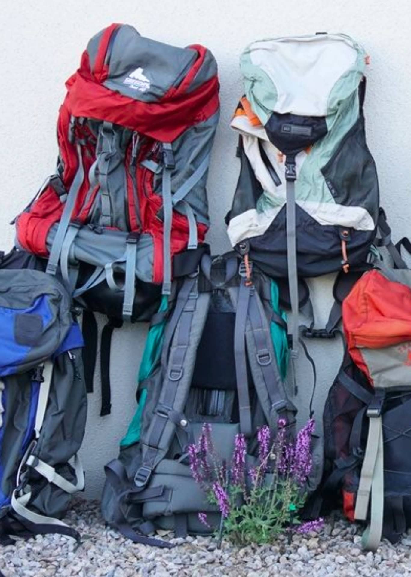 7 Albuquerque Thrift Stores In the Colorful State of Consignment