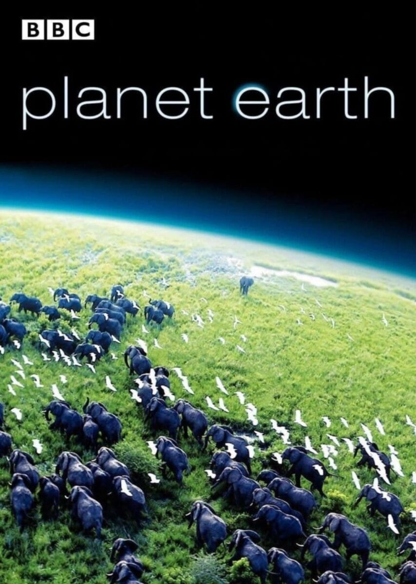 16 Best Environmental Movies To Inform, Uplift, & Inspire