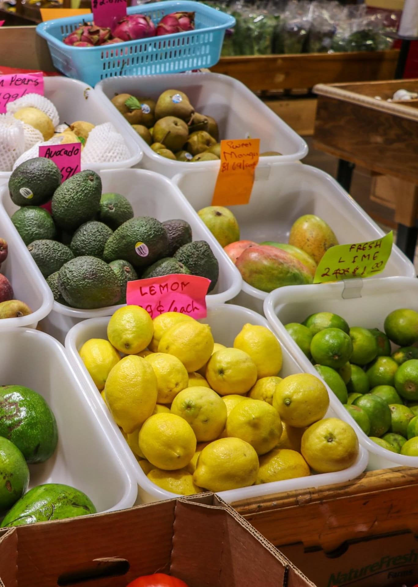 11 Zero Waste Stores in Philadelphia Declaring Plastic Independence