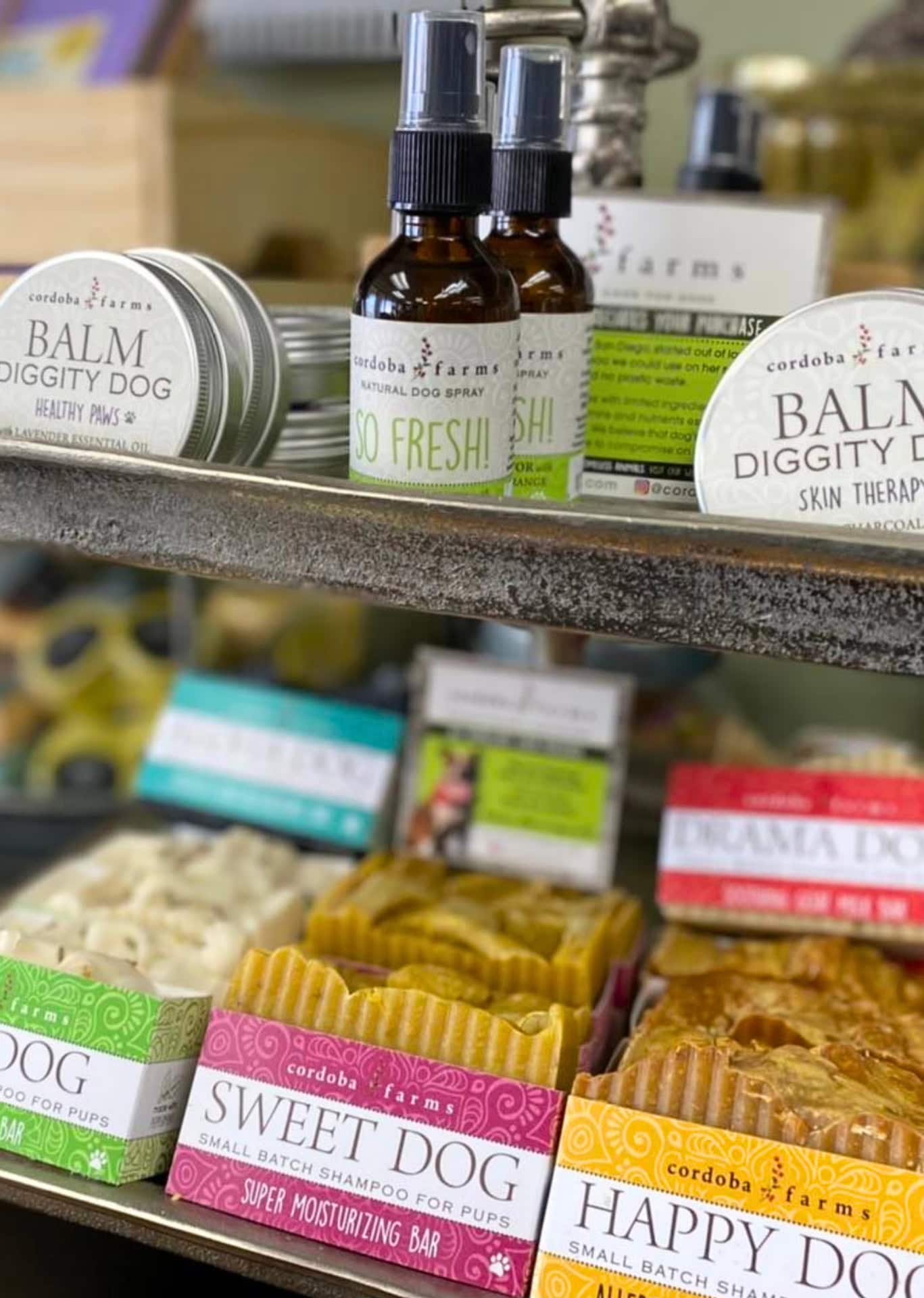 7 Bulk & Zero Waste Stores In San Diego For Sustainable Shopping