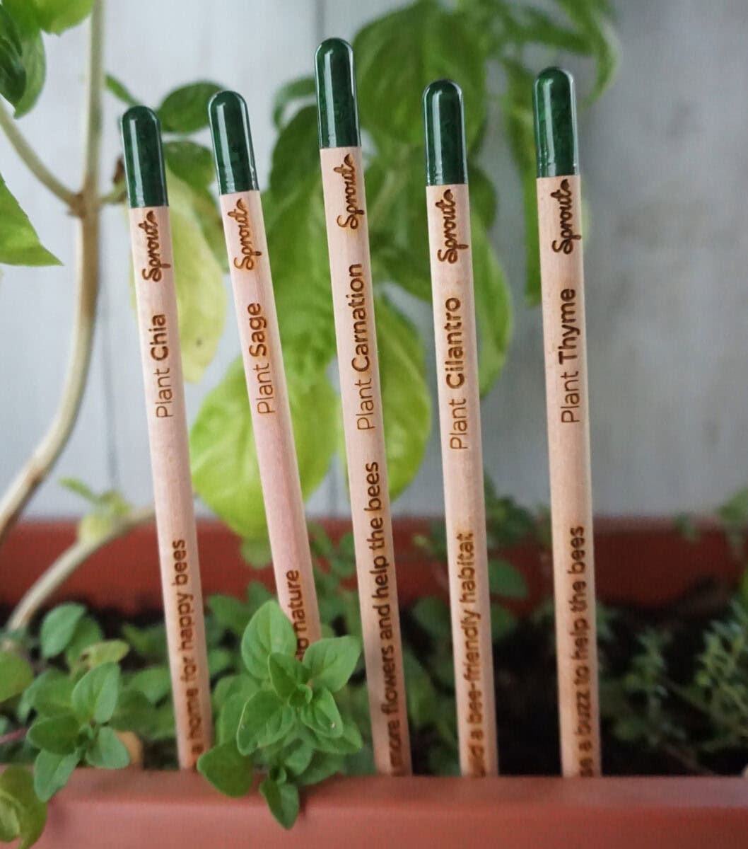 23 Eco-Friendly Gifts & Ideas For Your Sustainable Loved Ones