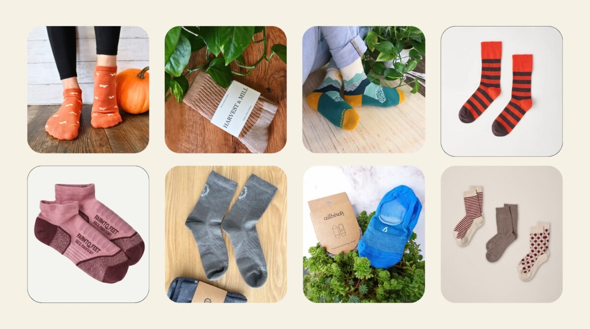 Paka: Rated & Reviewed