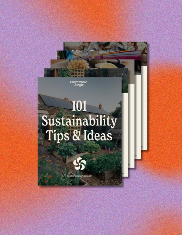 Why Are Sustainable Products More Expensive? In The Red From Going Green