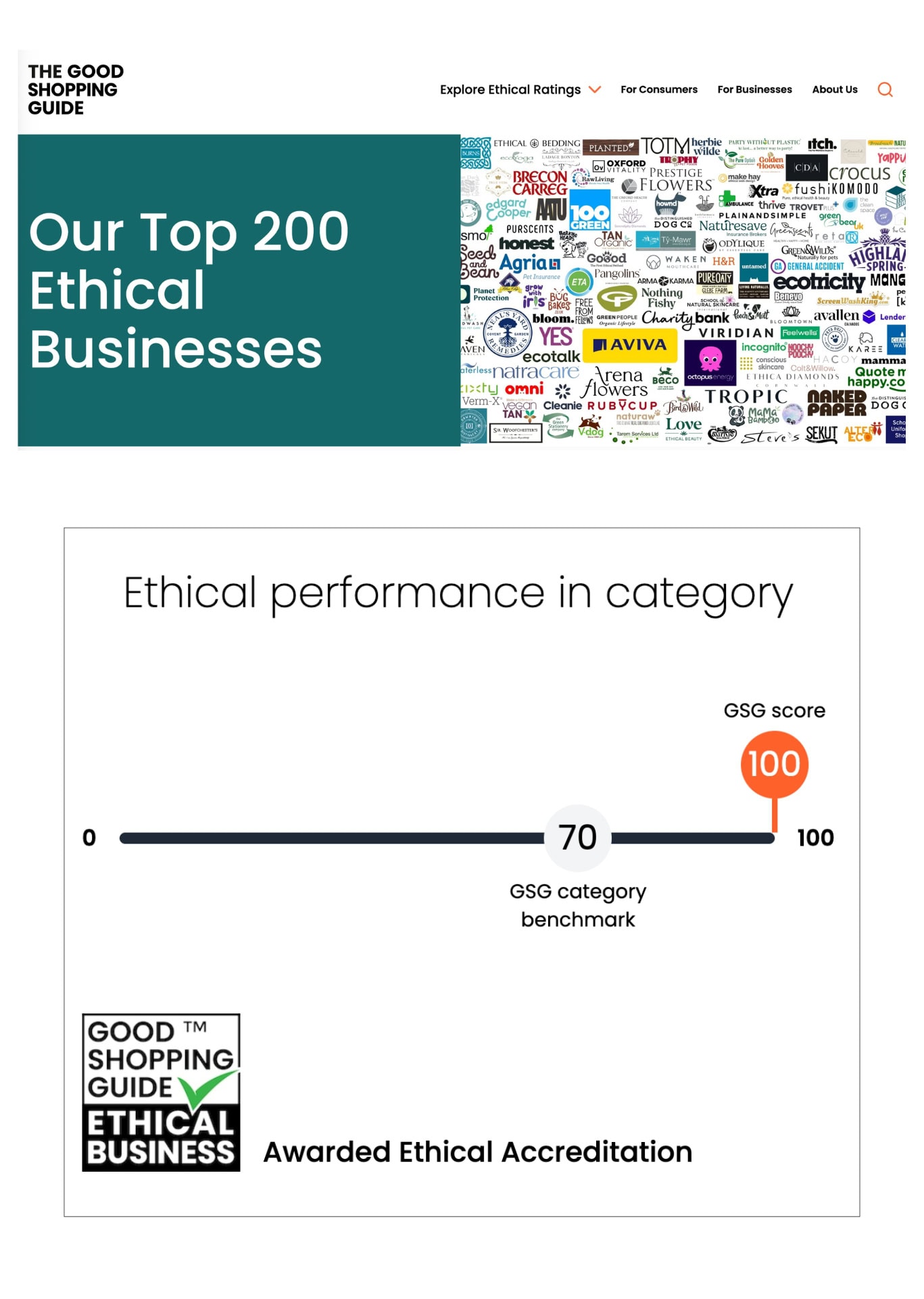 Sustainability Assessment for Consumer Brands: Complete Guide